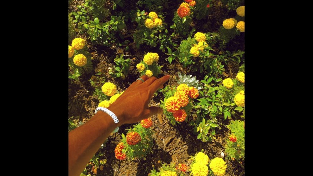 Tyler, the Creator – Peach Fuzz - New music from Tyler, the Creator